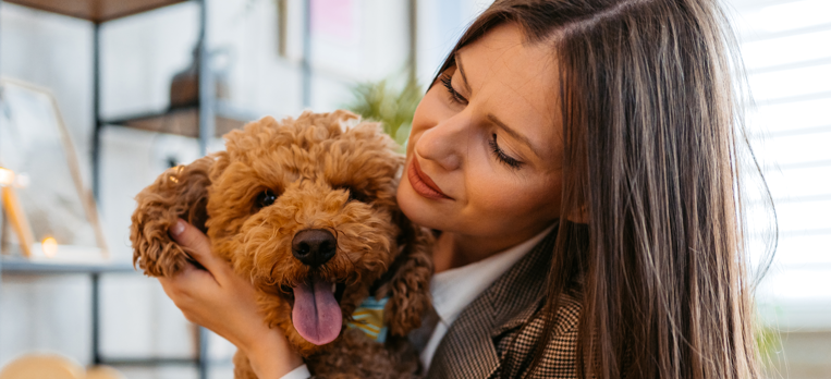 7 Reasons Doodle Owners Prefer Mobile Grooming | Woofie’s